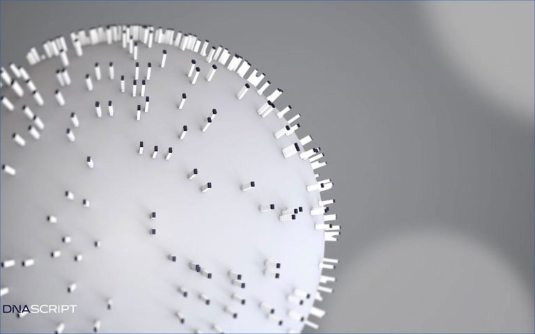 DNA Script