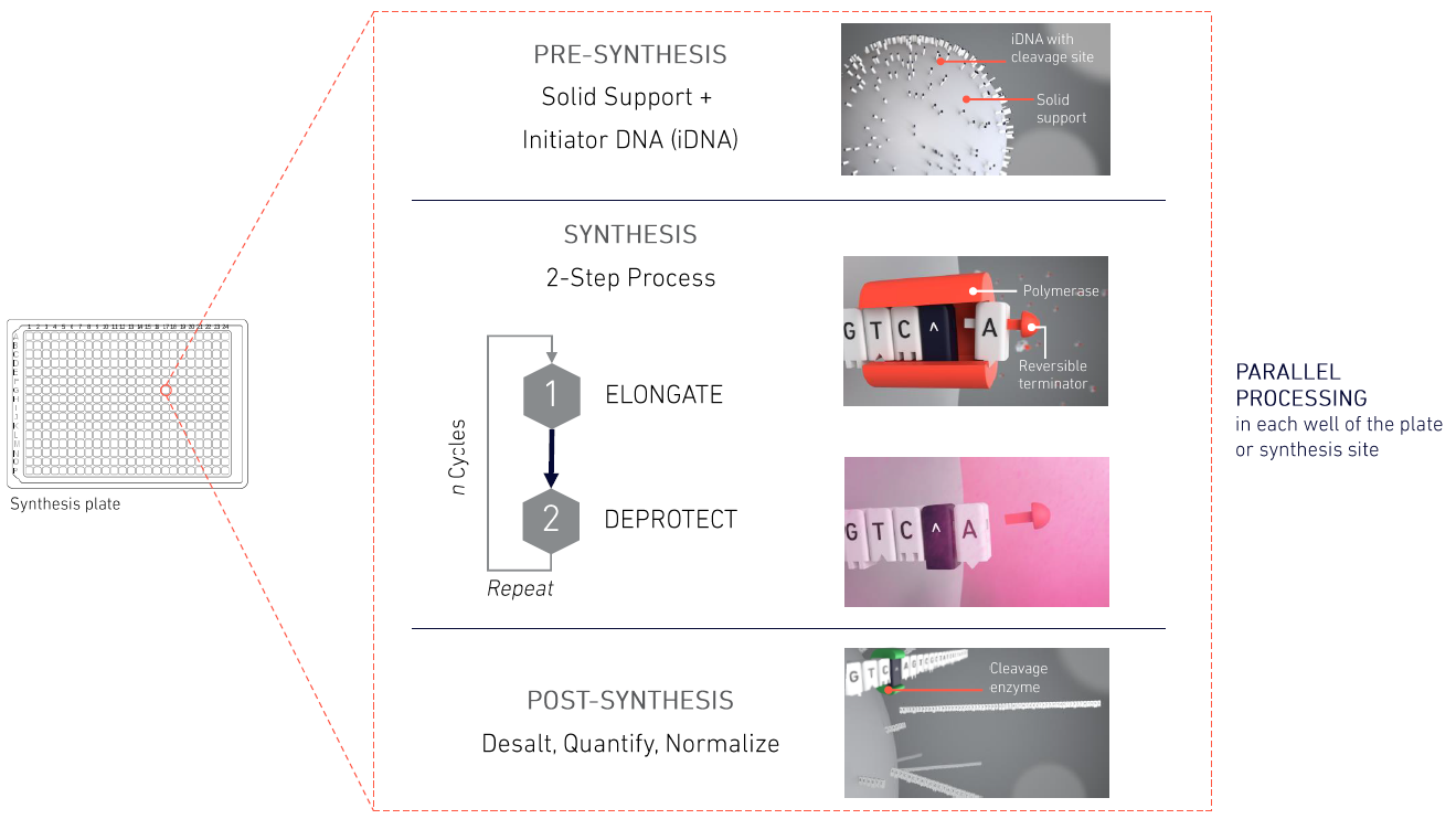 Technology | DNA Script