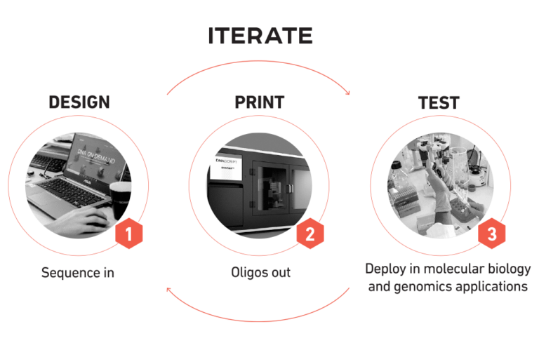 Products - DNA Script