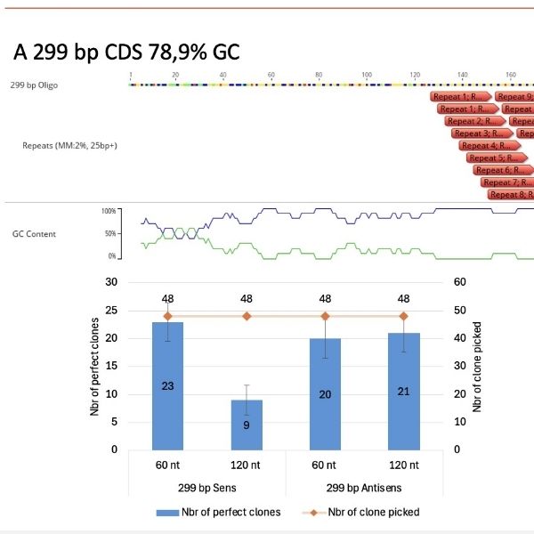 Gene Assembly & Complex DNA Construction with Enzymatic DNA Synthesis